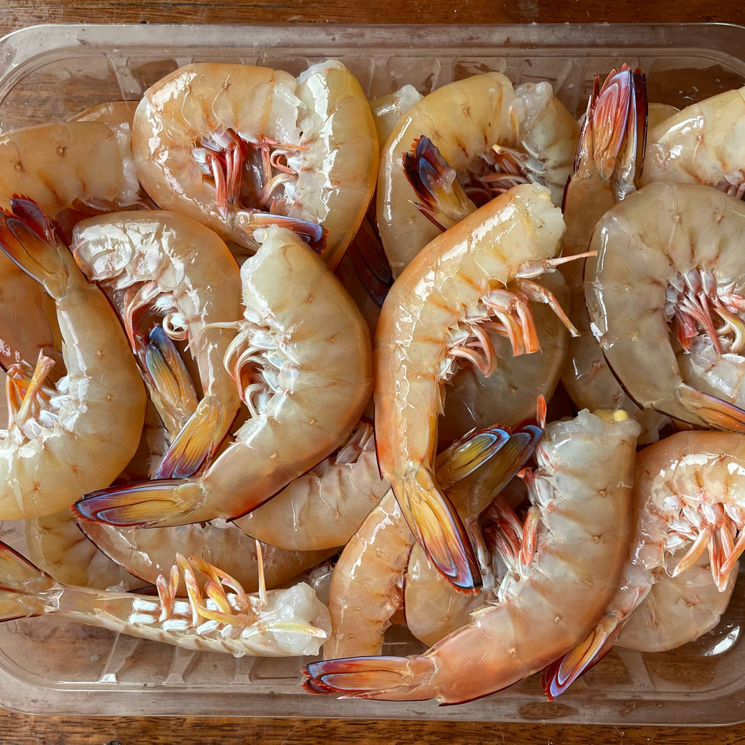 Local King Prawns Available To Order Now - Wholesale and Retail ...