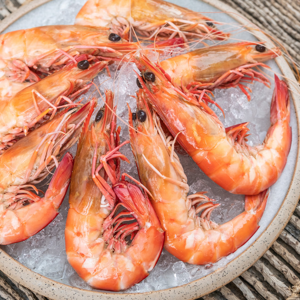 Large Cooked King Prawns - Wholesale and Retail - Order Now – Michael's ...
