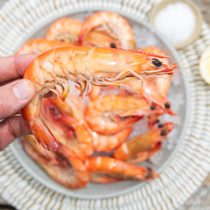 Local King Prawns Available To Order Now - Wholesale and Retail ...